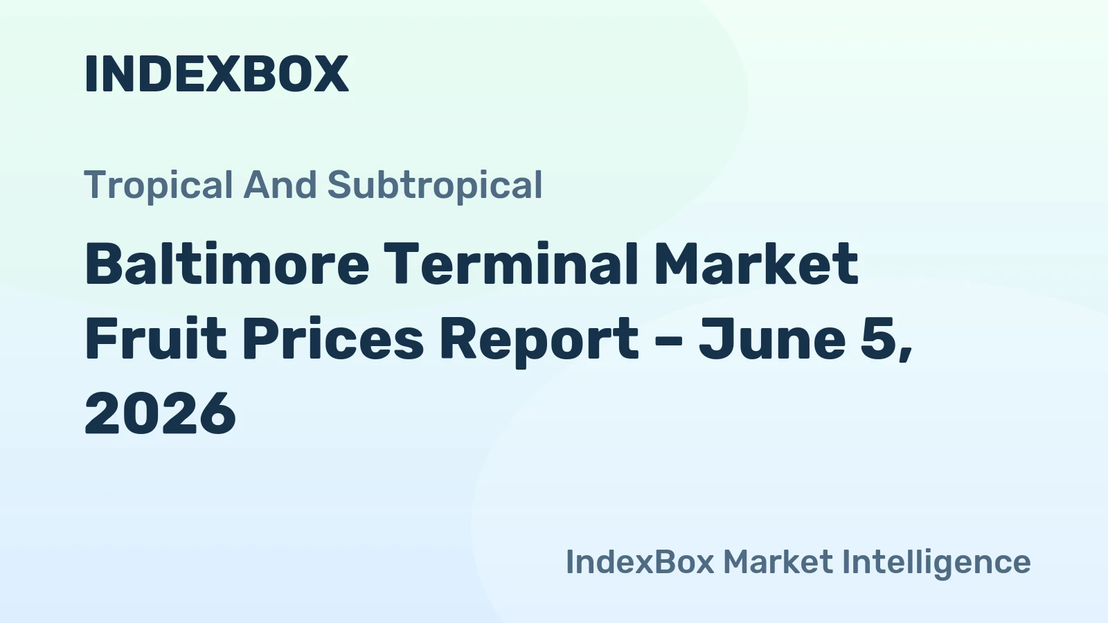 Baltimore Terminal Market Fruit Prices Report – June 5, 2026