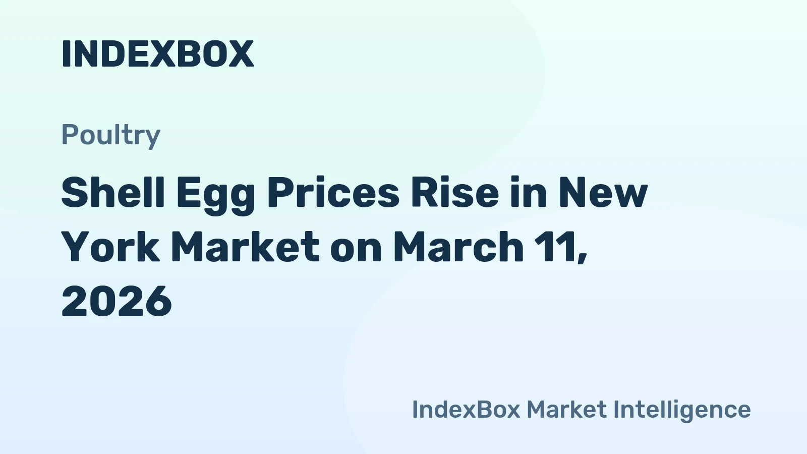 Shell Egg Prices Rise in New York Market on March 11, 2026