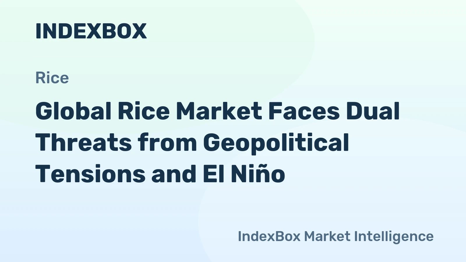 Global Rice Market Faces Dual Threats from Geopolitical Tensions and El Niño