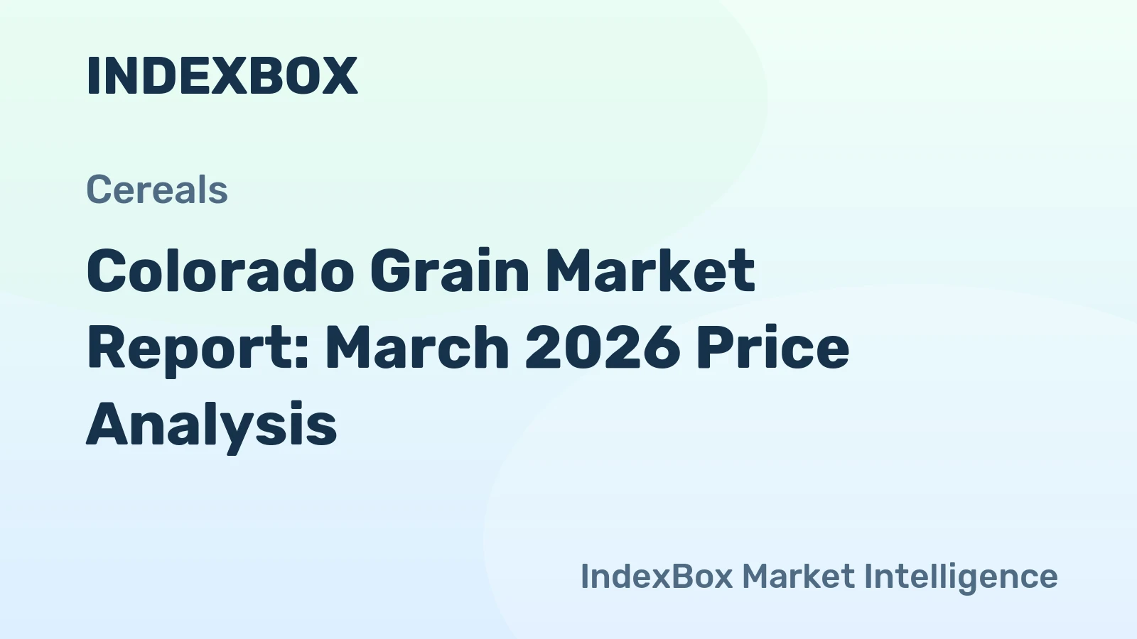 Colorado Grain Market Report: March 2026 Price Analysis