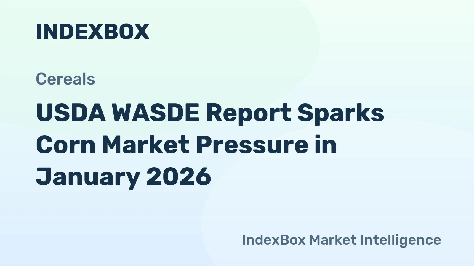 USDA WASDE Report Sparks Corn Market Pressure in January 2026