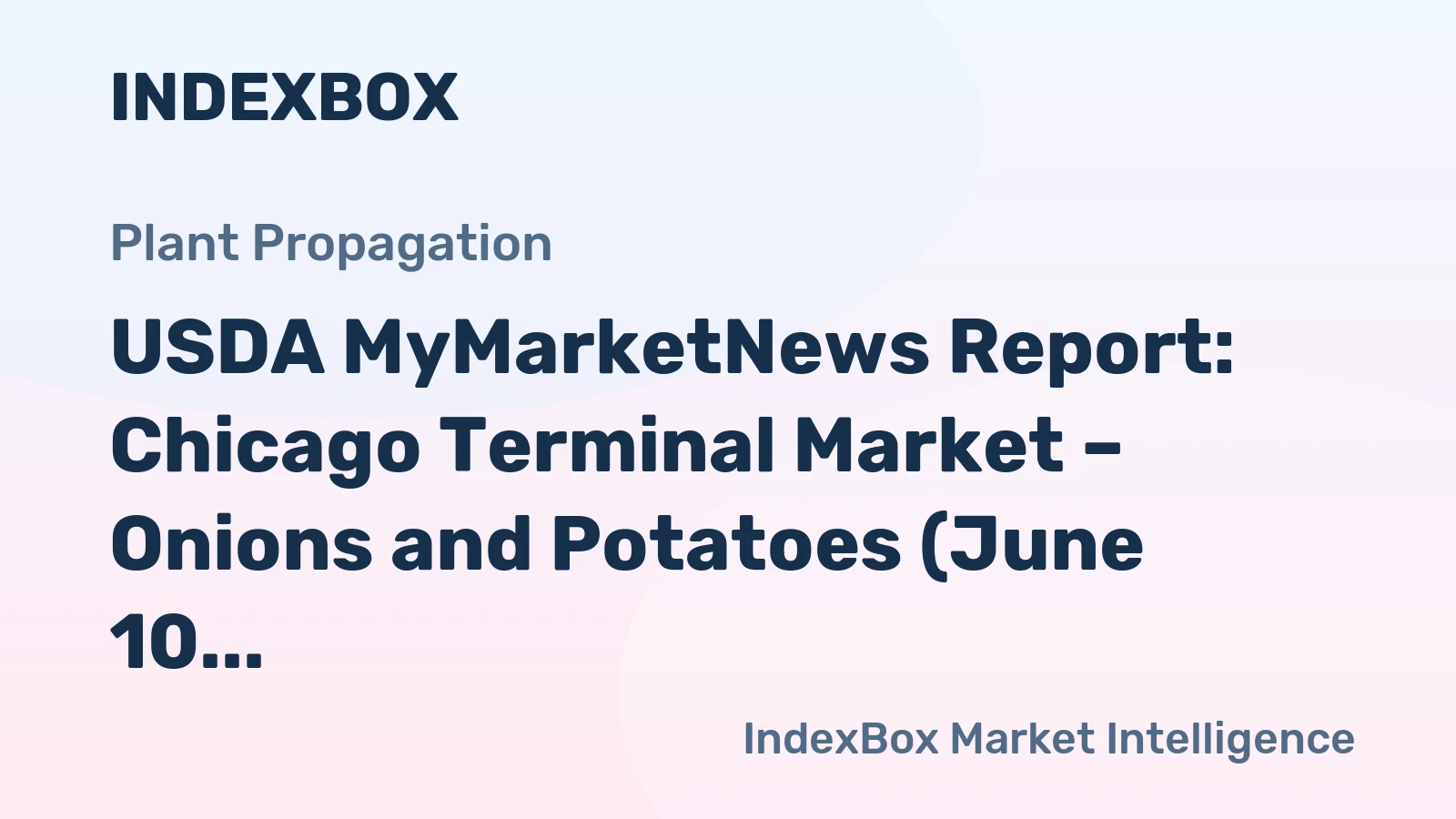 USDA MyMarketNews Report: Chicago Terminal Market – Onions and Potatoes (June 10, 2026)