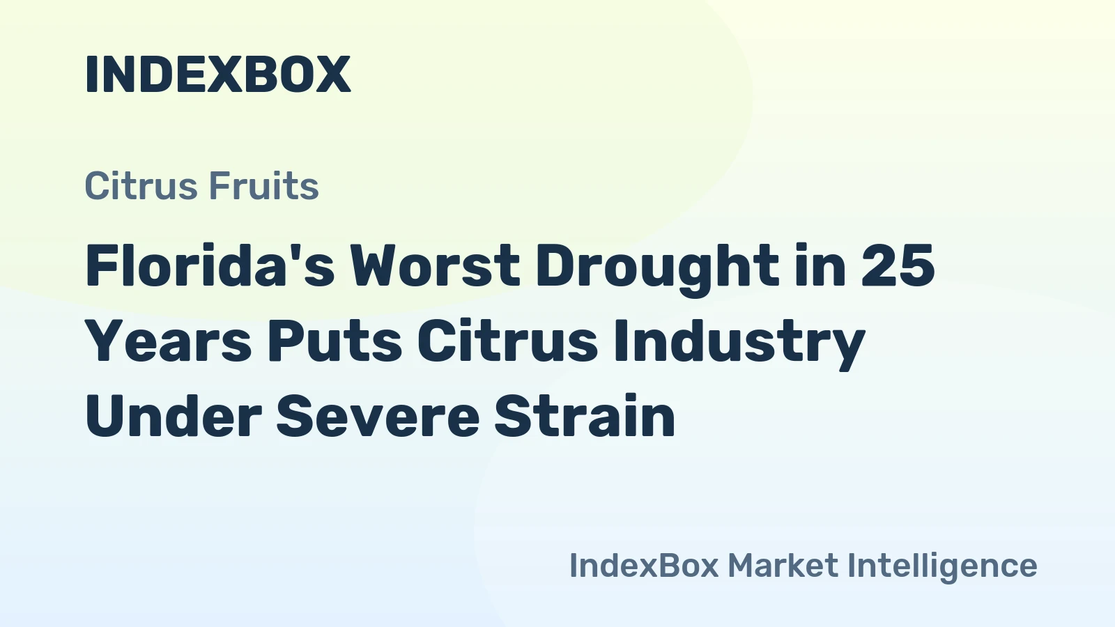 Florida's Worst Drought in 25 Years Puts Citrus Industry Under Severe Strain