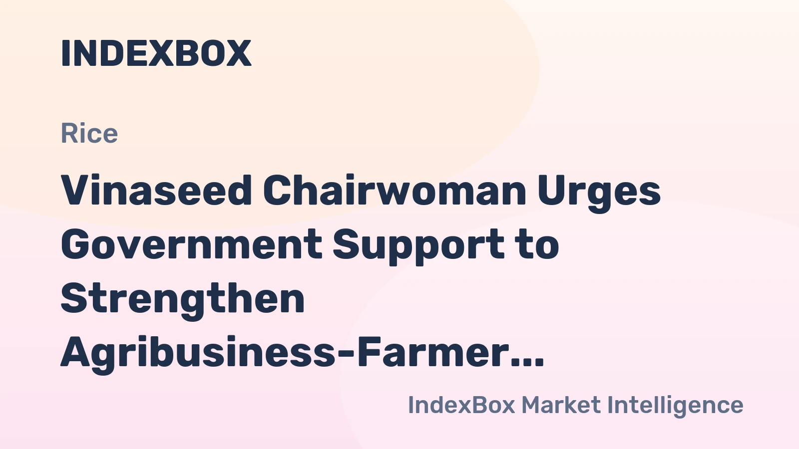 Vinaseed Chairwoman Urges Government Support to Strengthen Agribusiness-Farmer Links