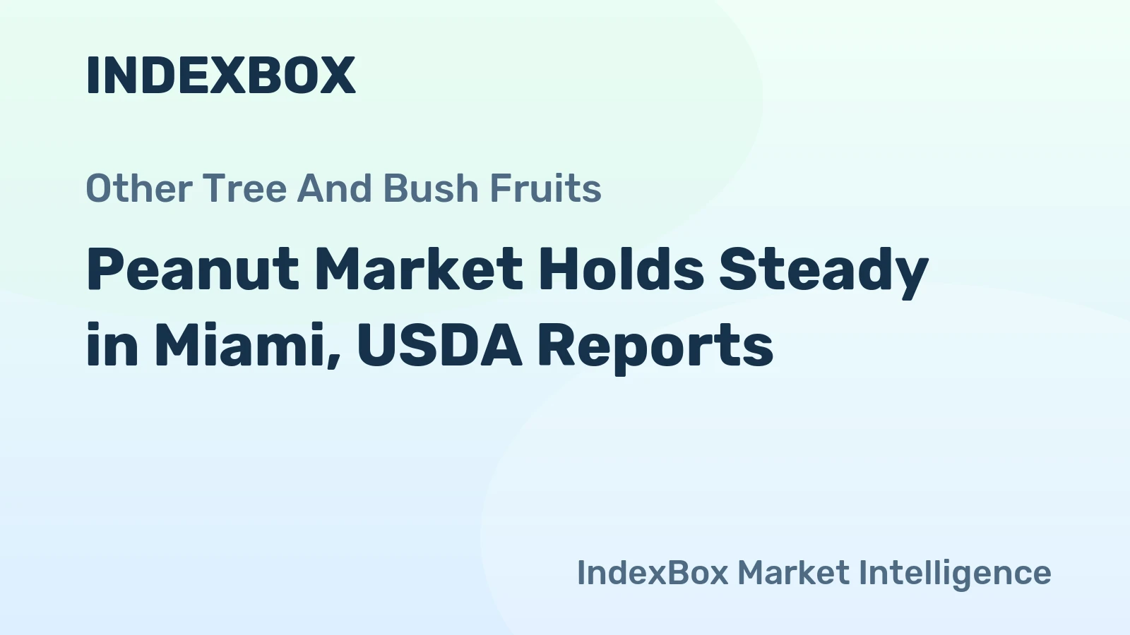 Peanut Market Holds Steady in Miami, USDA Reports
