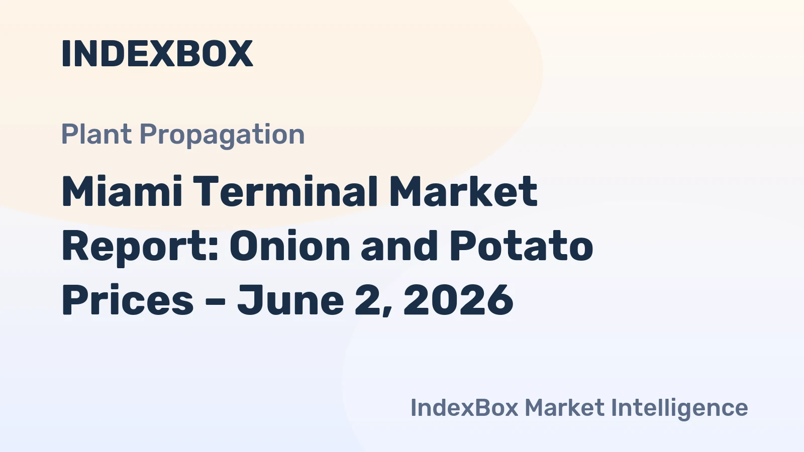 Miami Terminal Market Report: Onion and Potato Prices – June 2, 2026