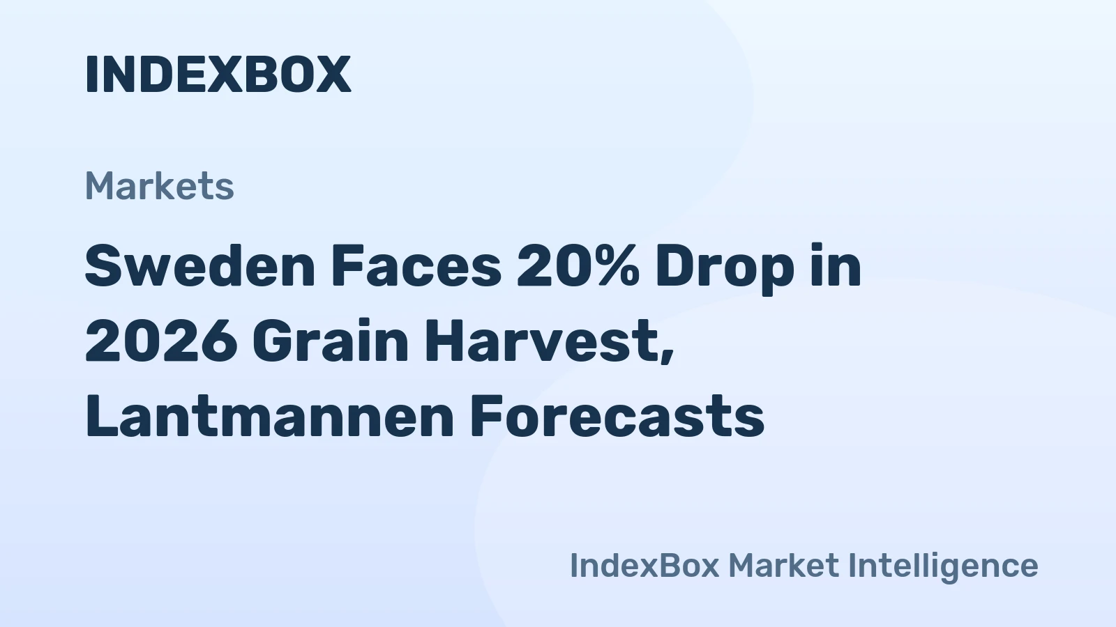 Sweden Faces 20% Drop in 2026 Grain Harvest, Lantmannen Forecasts