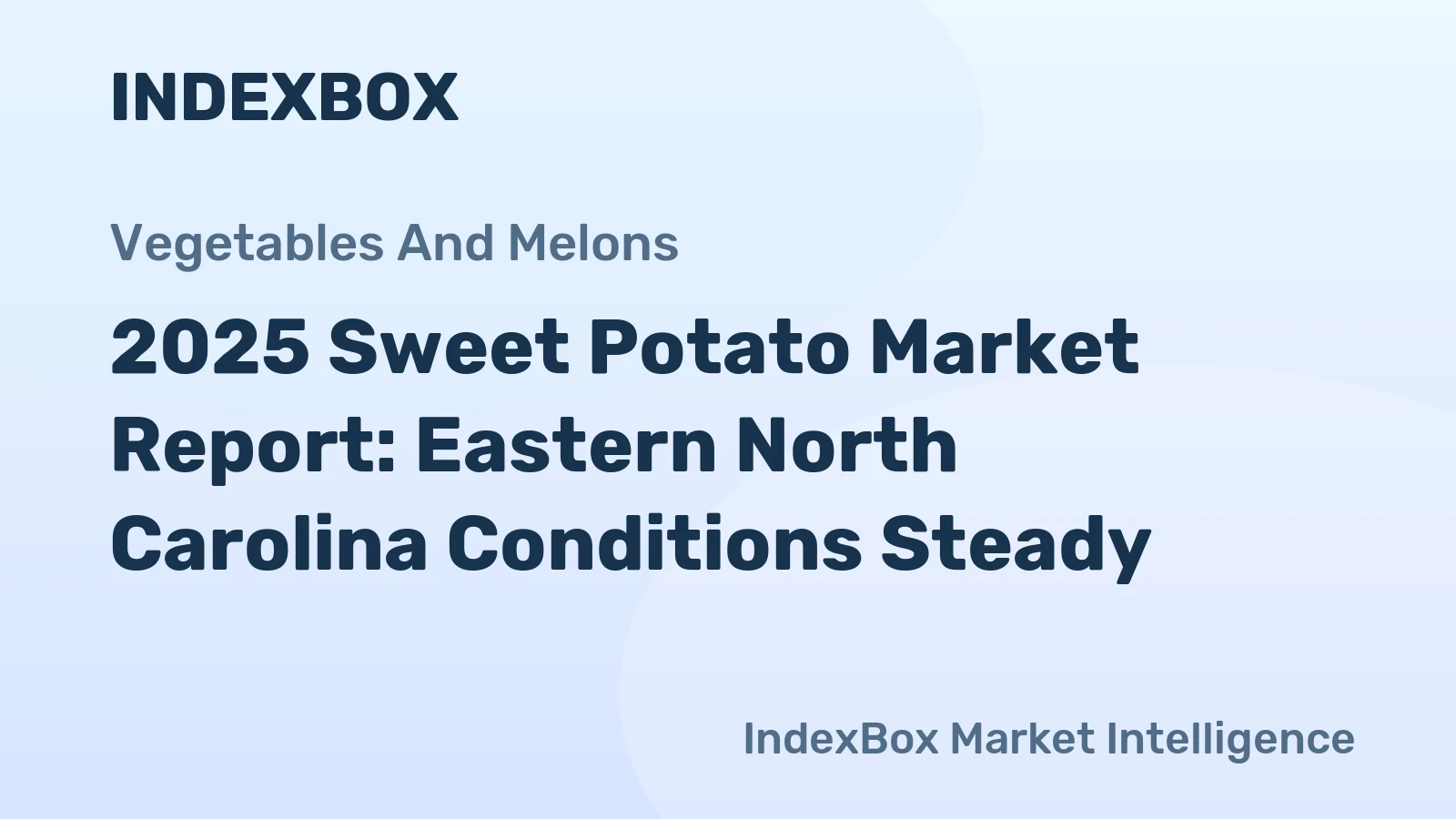 2025 Sweet Potato Market Report: Eastern North Carolina Conditions Steady