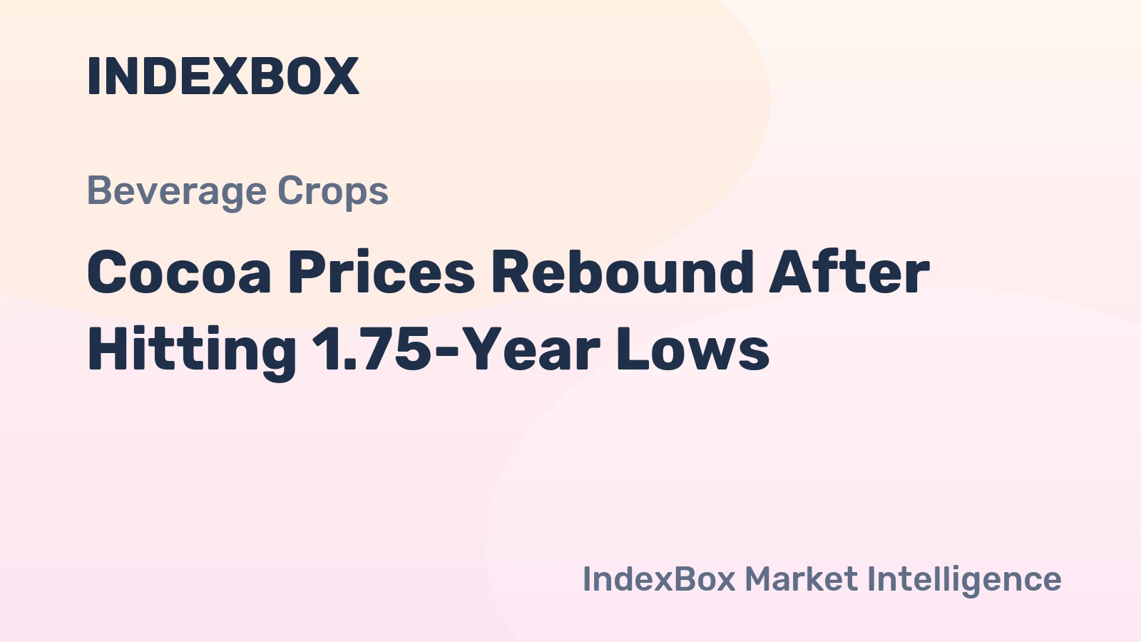 Cocoa Prices Rebound After Hitting 1.75-Year Lows