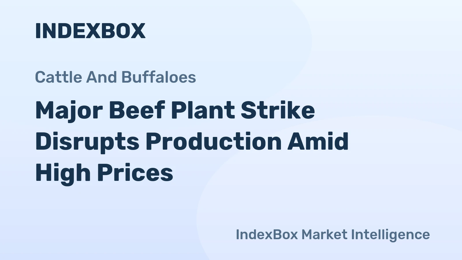 Major Beef Plant Strike Disrupts Production Amid High Prices
