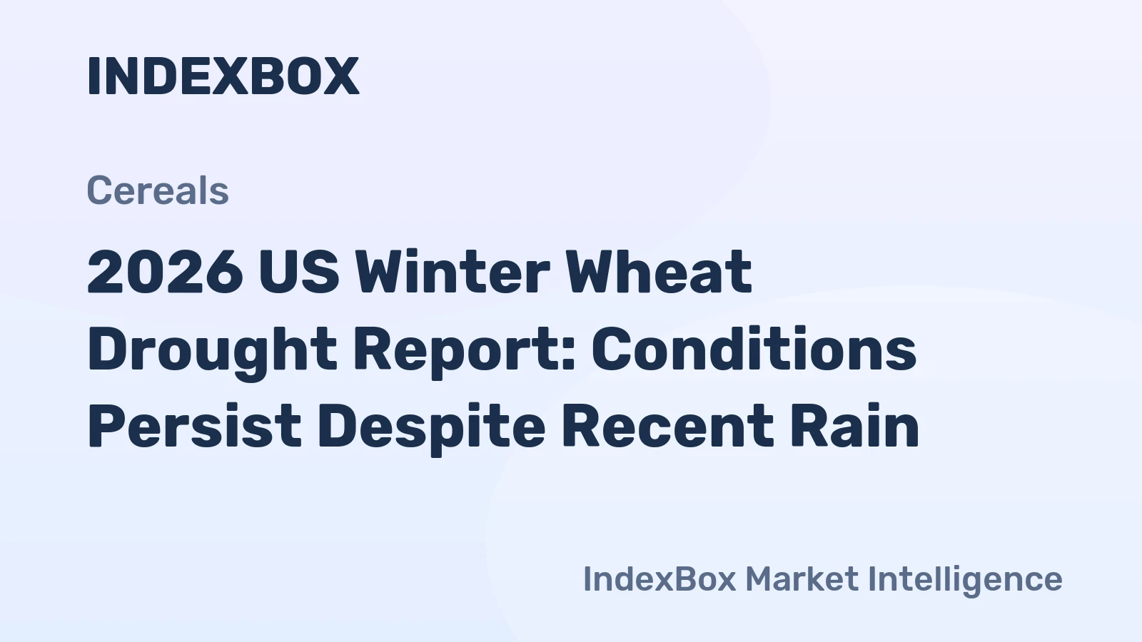2026 US Winter Wheat Drought Report: Conditions Persist Despite Recent Rain