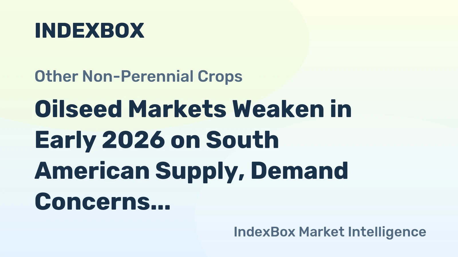 Oilseed Markets Weaken in Early 2026 on South American Supply, Demand Concerns