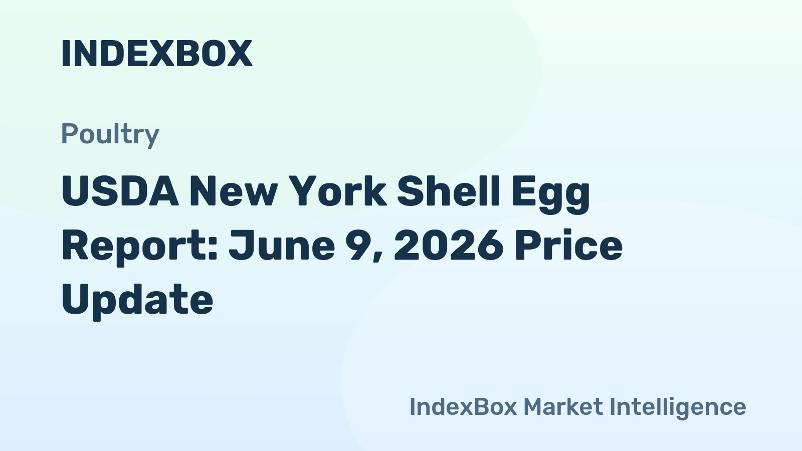 USDA New York Shell Egg Report: June 9, 2026 Price Update
