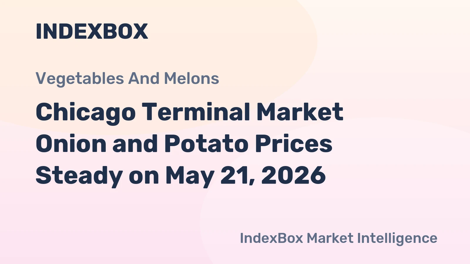 Chicago Terminal Market Onion and Potato Prices Steady on May 21, 2026