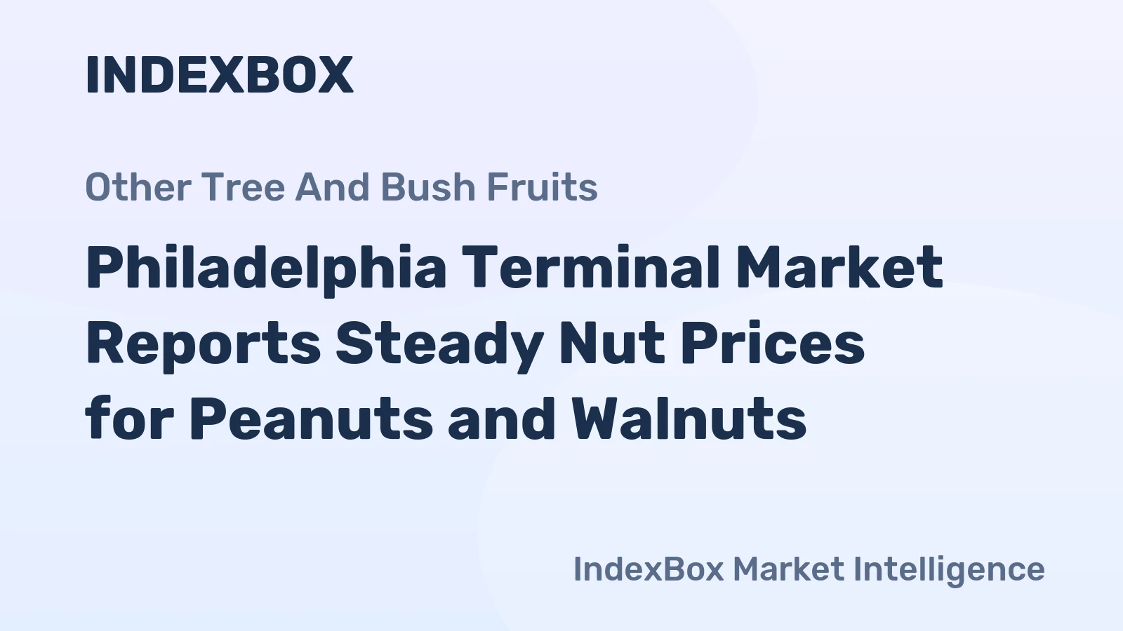 Philadelphia Terminal Market Reports Steady Nut Prices for Peanuts and Walnuts
