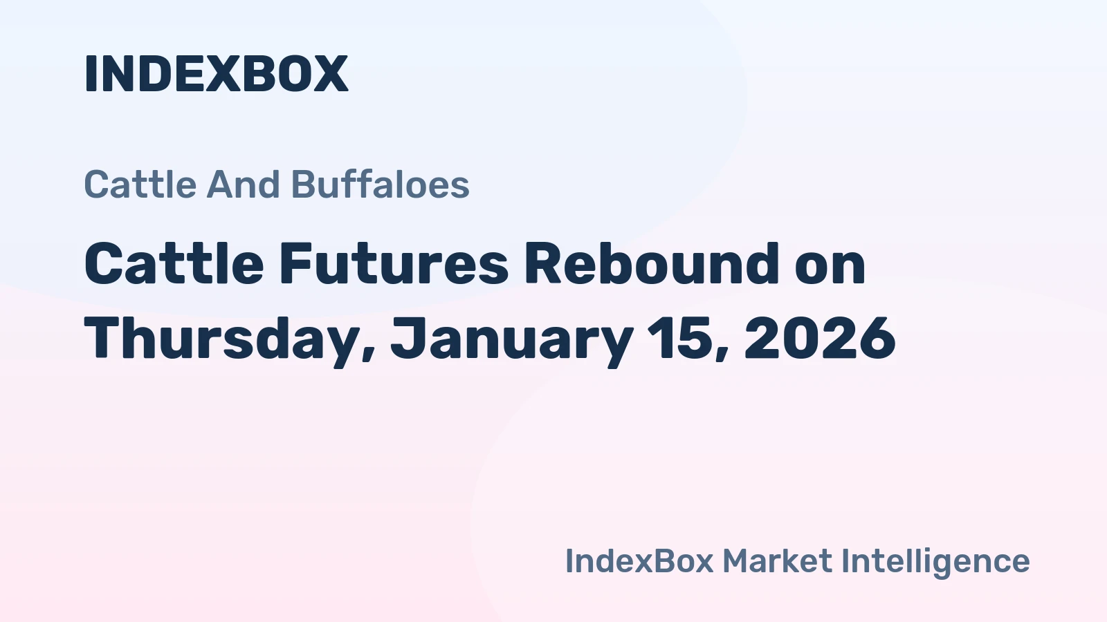 Cattle Futures Rebound on Thursday, January 15, 2026