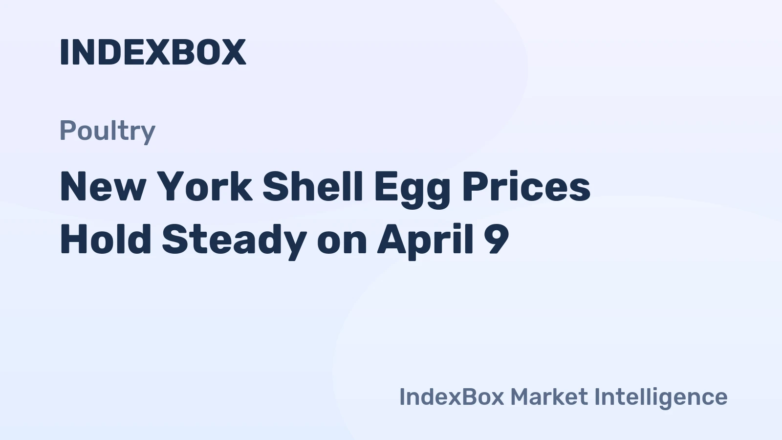 New York Shell Egg Prices Hold Steady on April 9