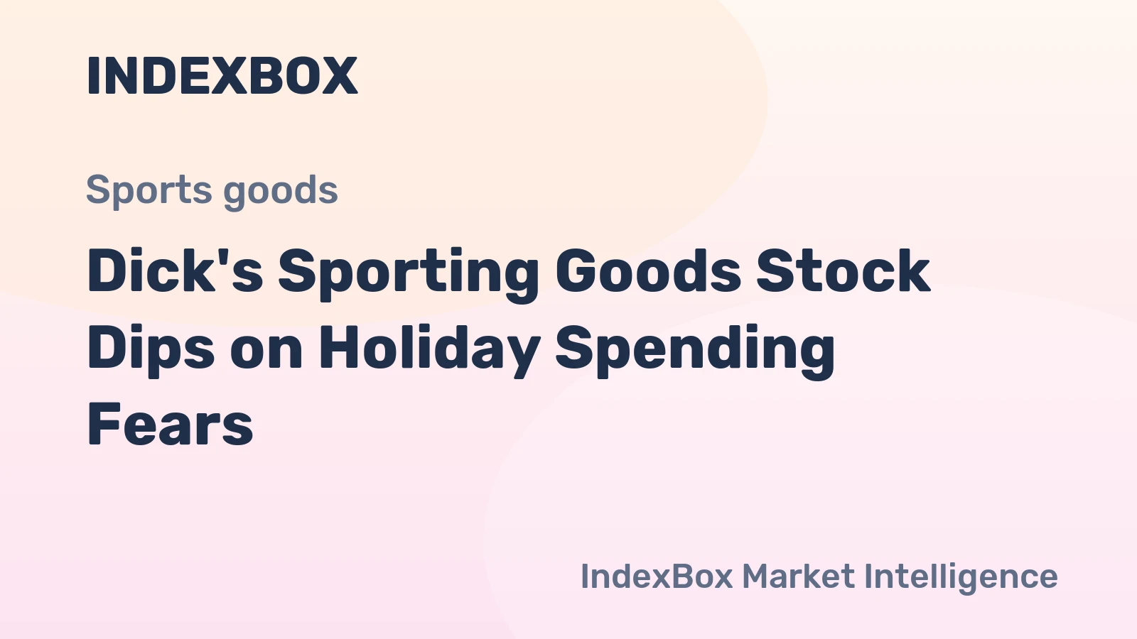Dick's Sporting Goods Stock Dips on Holiday Spending Fears