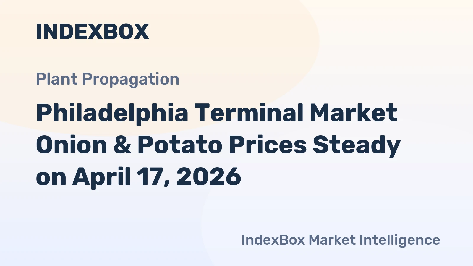 Philadelphia Terminal Market Onion & Potato Prices Steady on April 17, 2026