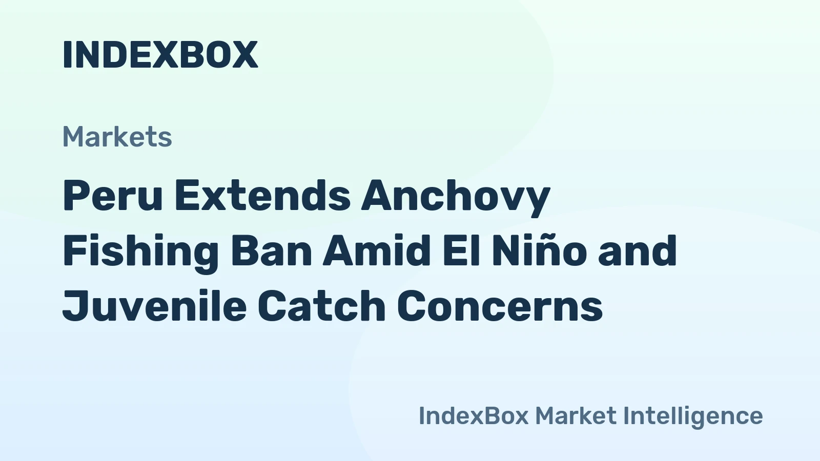 Peru Extends Anchovy Fishing Ban Amid El Niño and Juvenile Catch Concerns