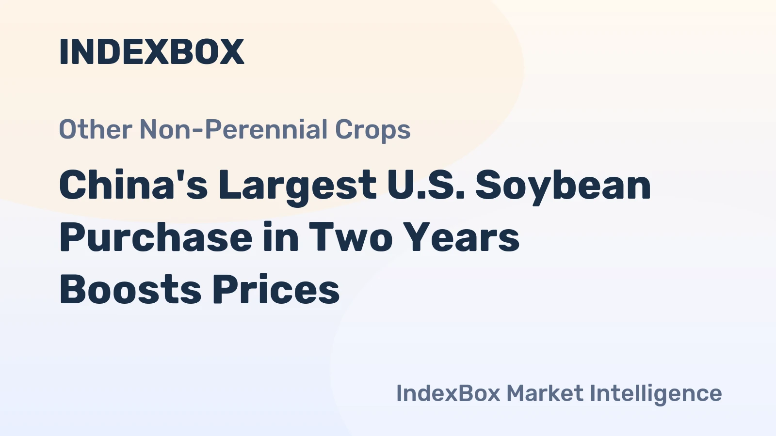 China's Largest U.S. Soybean Purchase in Two Years Boosts Prices