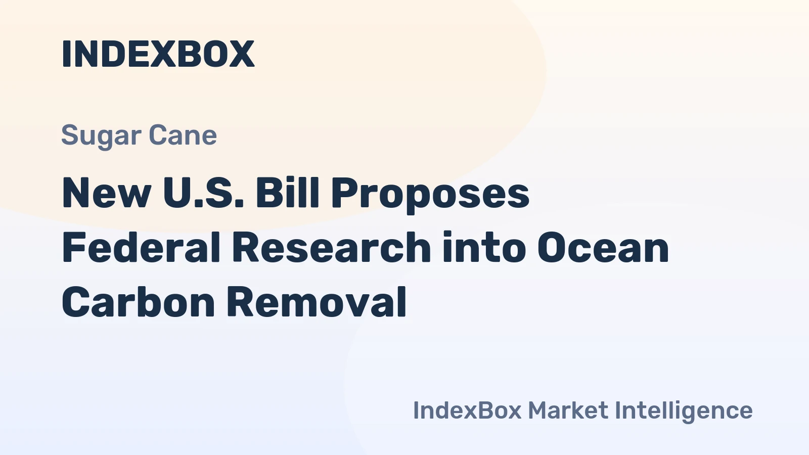 New U.S. Bill Proposes Federal Research into Ocean Carbon Removal