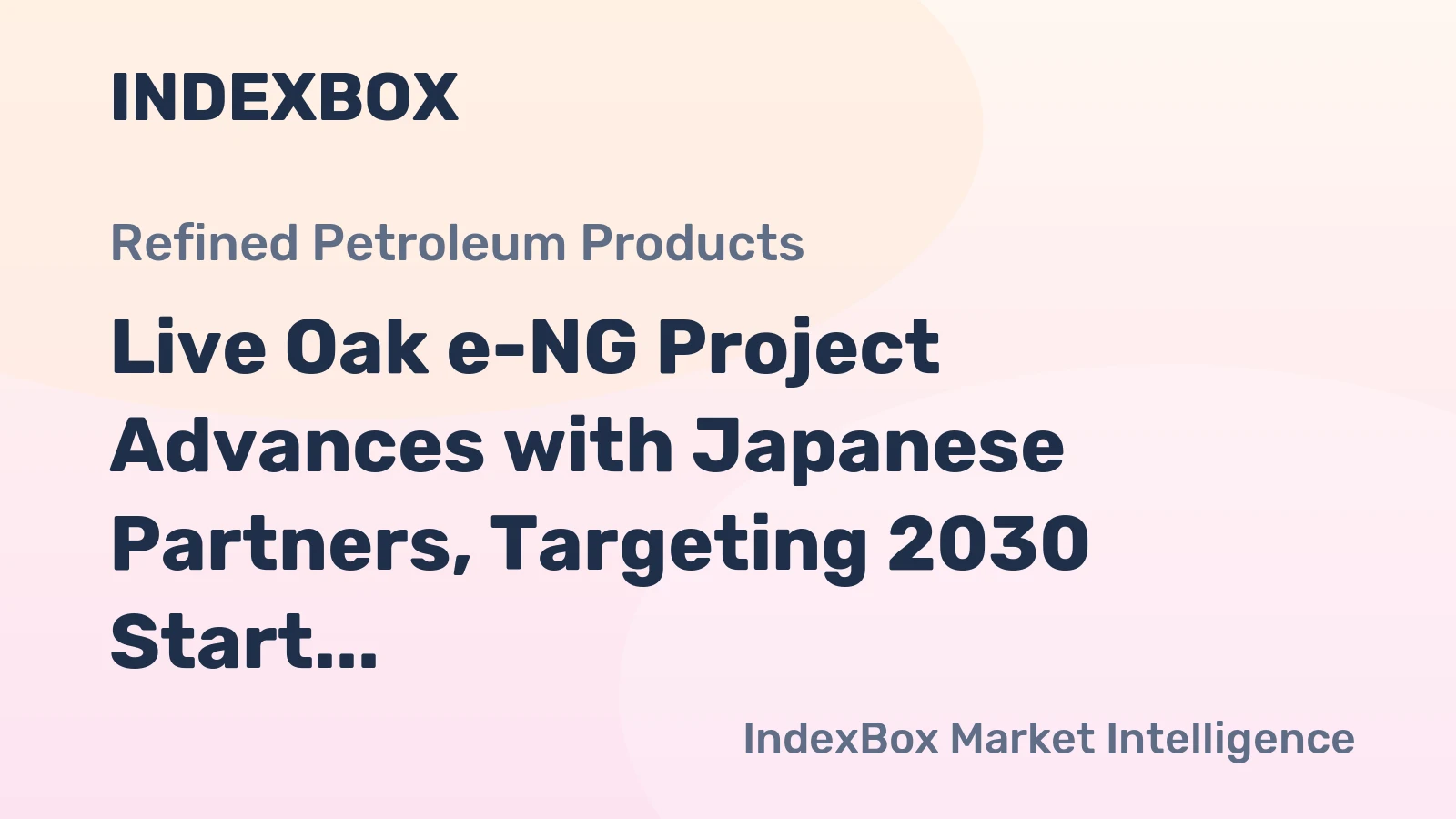 Live Oak e-NG Project Advances with Japanese Partners, Targeting 2030 Start