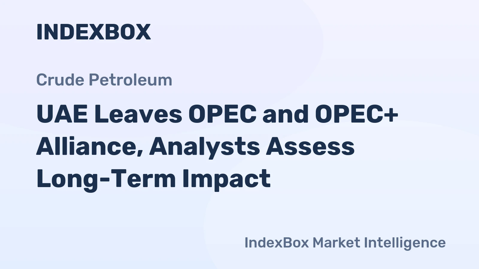 UAE Leaves OPEC and OPEC+ Alliance, Analysts Assess Long-Term Impact
