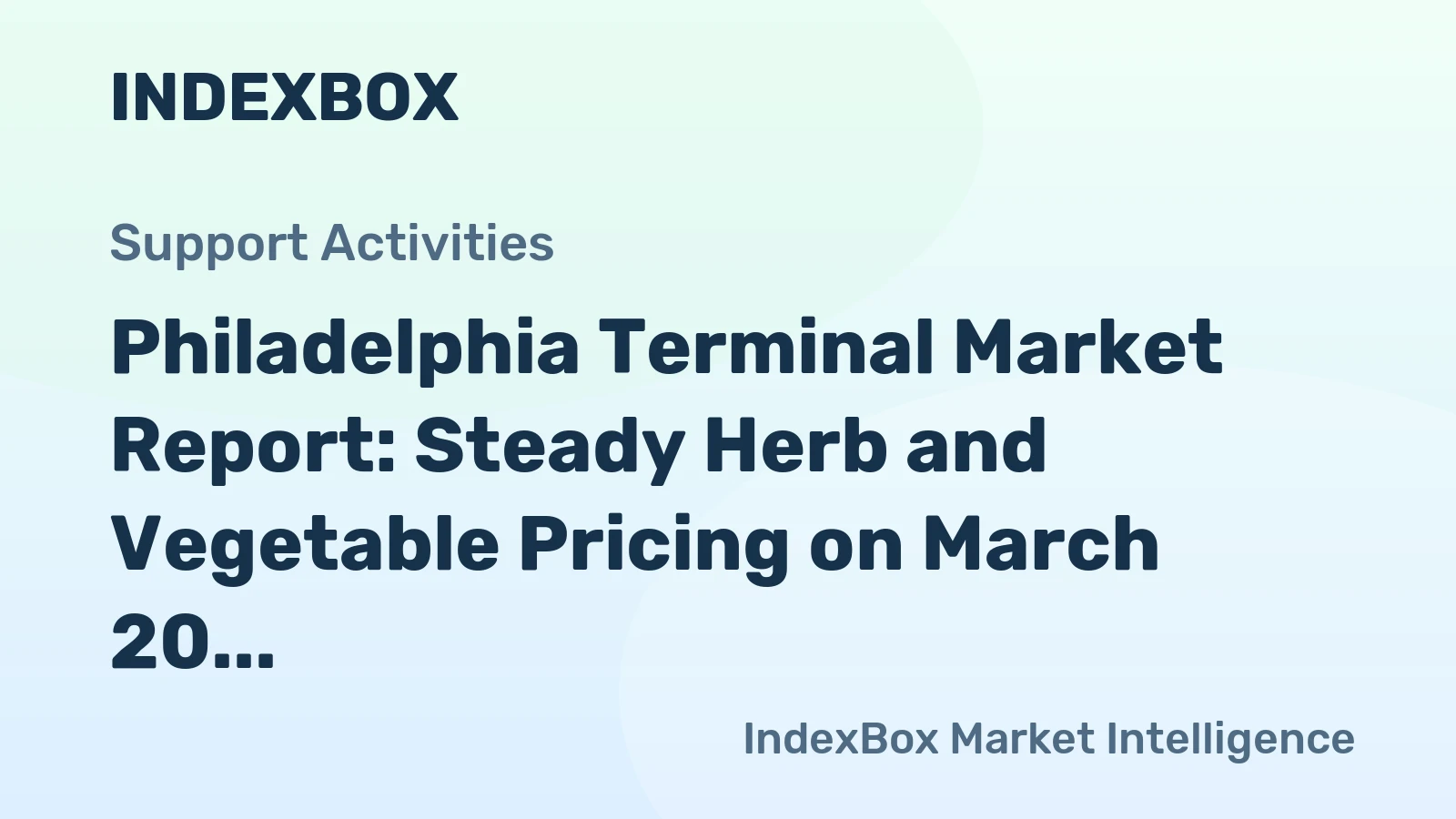Philadelphia Terminal Market Report: Steady Herb and Vegetable Pricing on March 20, 2026