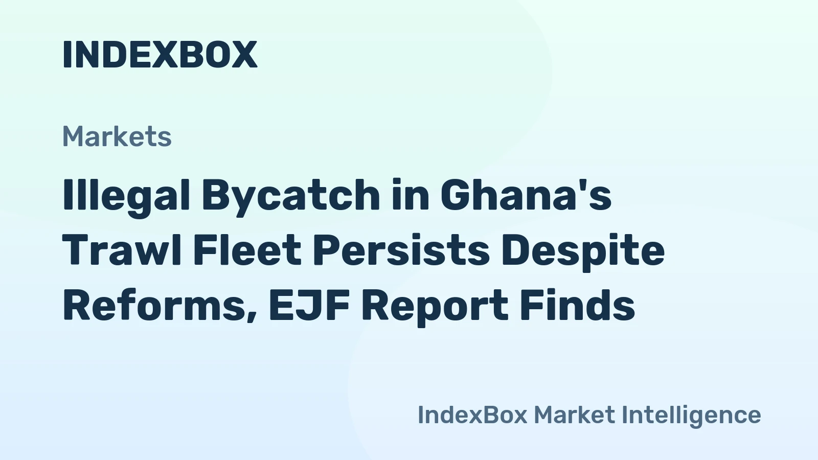 Illegal Bycatch in Ghana's Trawl Fleet Persists Despite Reforms, EJF Report Finds