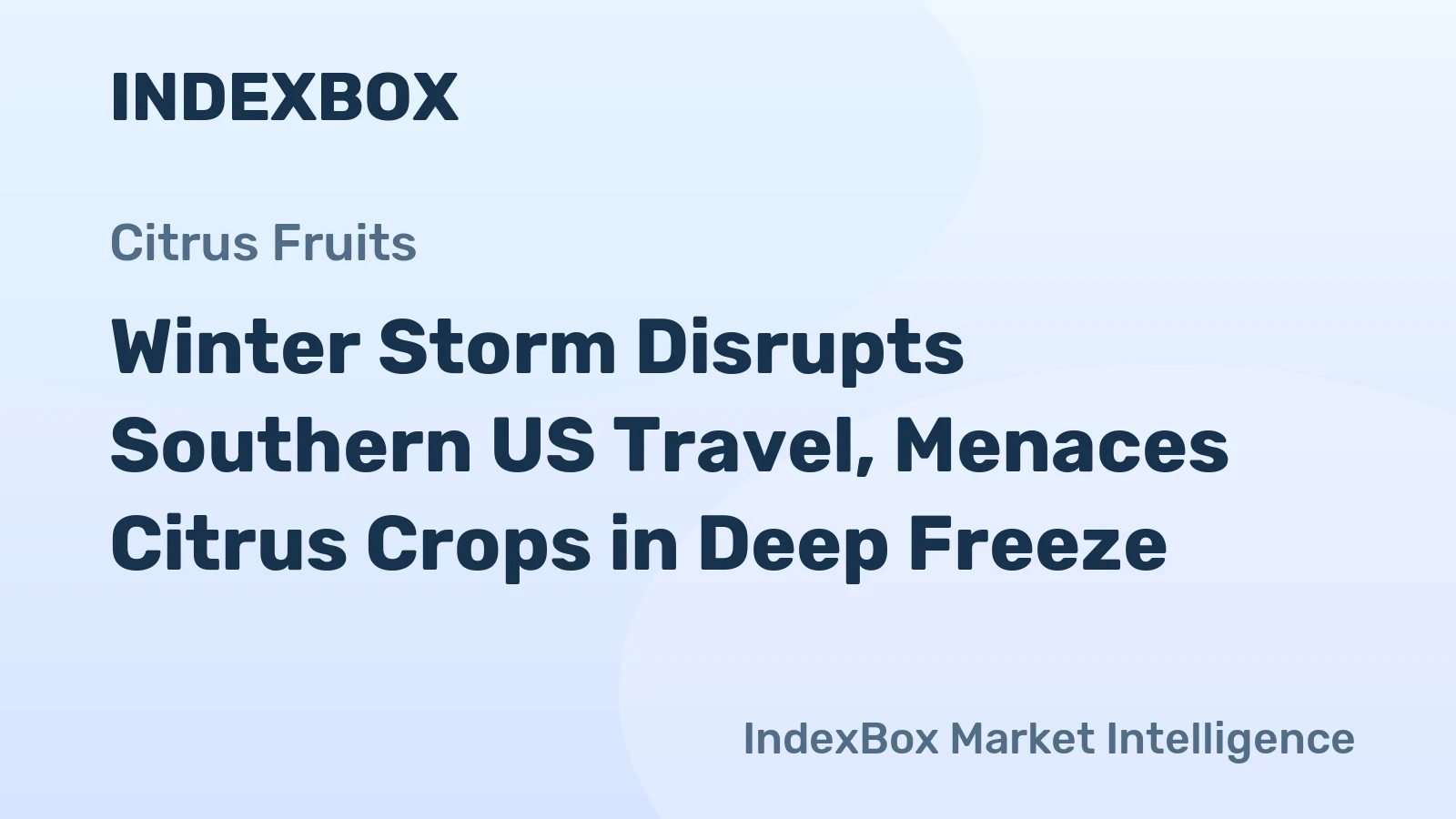 Winter Storm Disrupts Southern US Travel, Menaces Citrus Crops in Deep Freeze