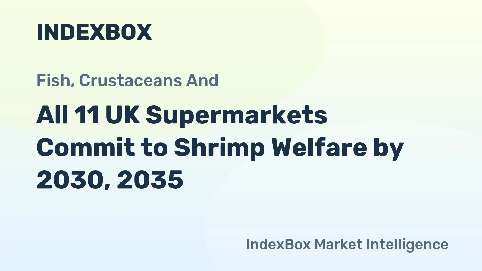 All 11 UK Supermarkets Commit to Shrimp Welfare by 2030, 2035