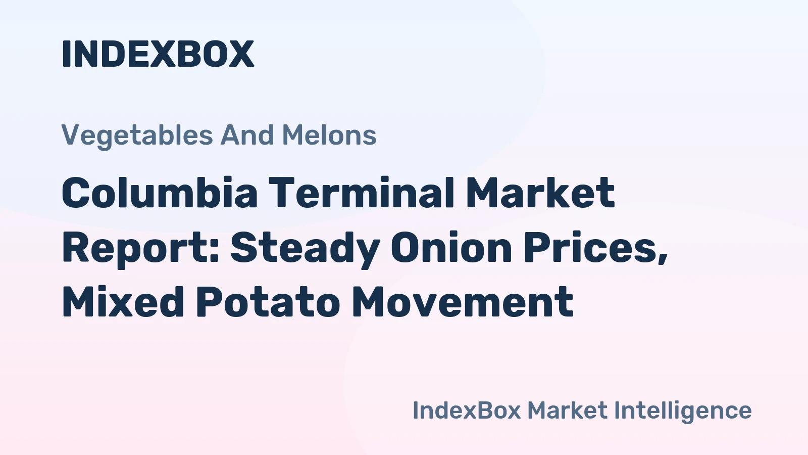 Columbia Terminal Market Report: Steady Onion Prices, Mixed Potato Movement