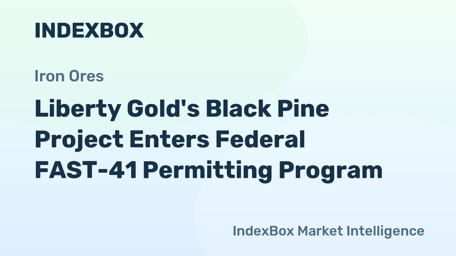 Liberty Gold's Black Pine Project Enters Federal FAST-41 Permitting Program
