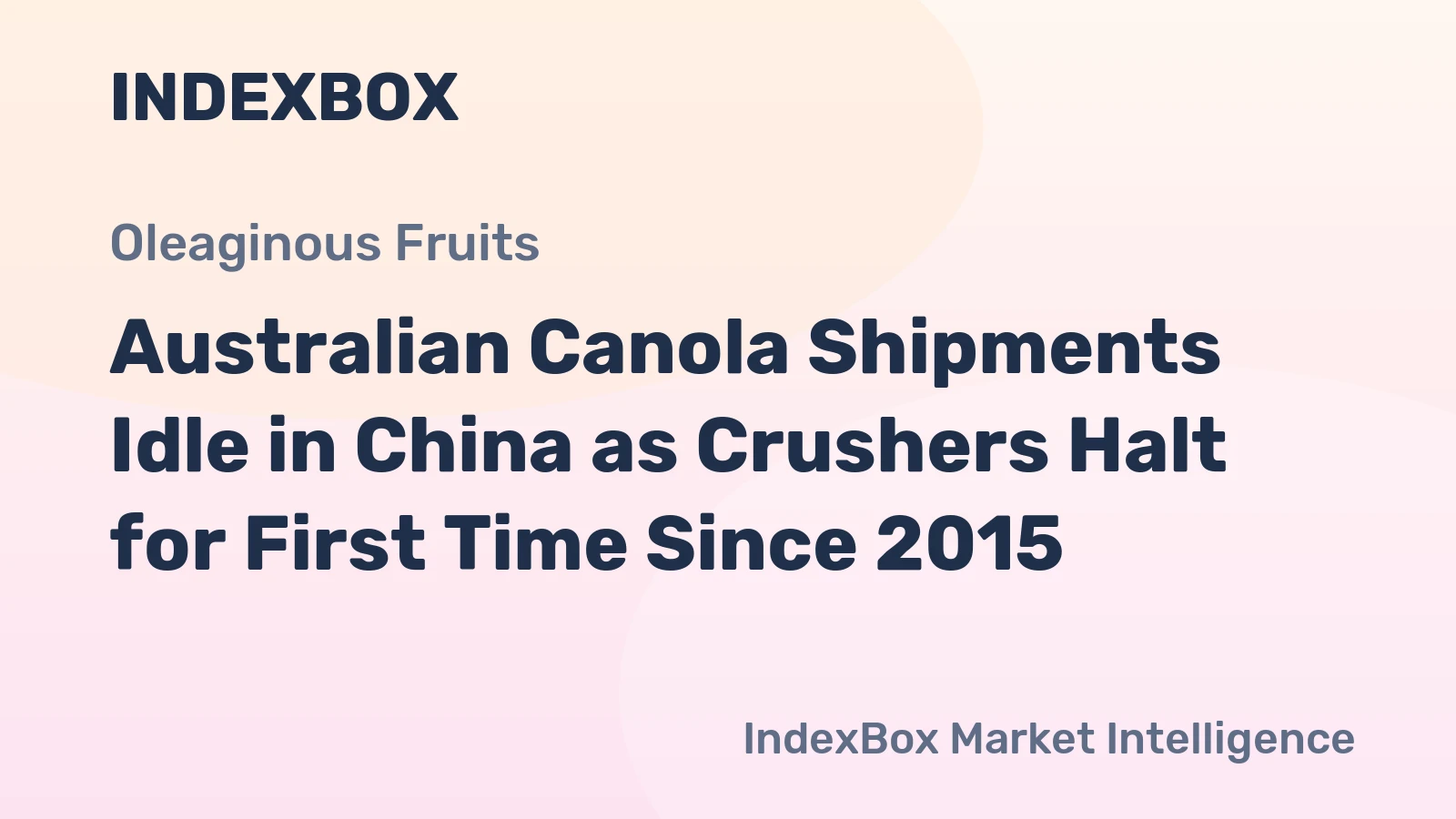 Australian Canola Shipments Idle in China as Crushers Halt for First Time Since 2015