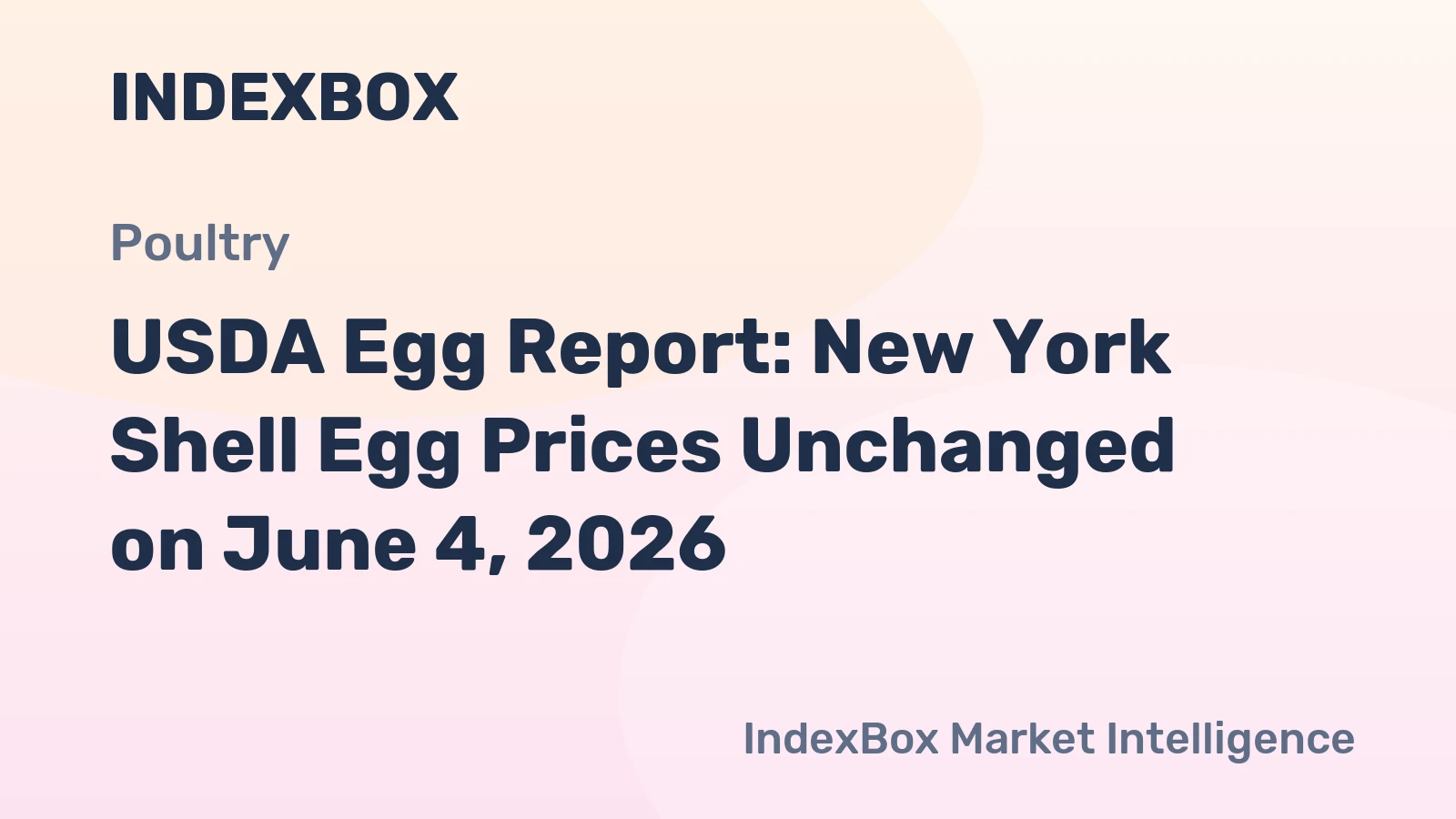 USDA Egg Report: New York Shell Egg Prices Unchanged on June 4, 2026