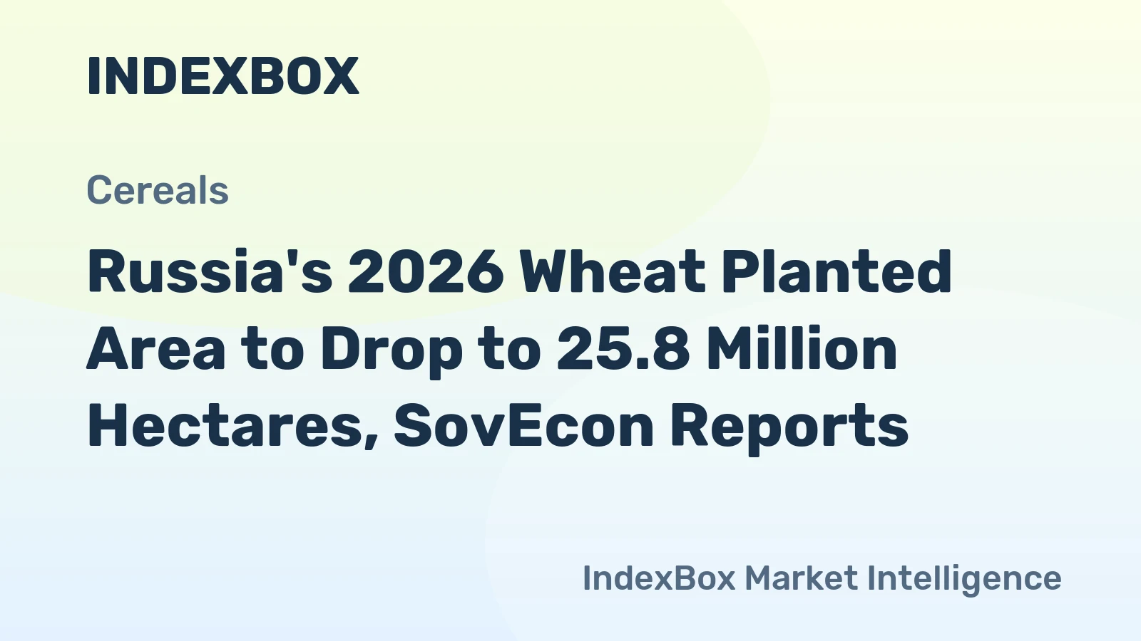 Russia's 2026 Wheat Planted Area to Drop to 25.8 Million Hectares, SovEcon Reports