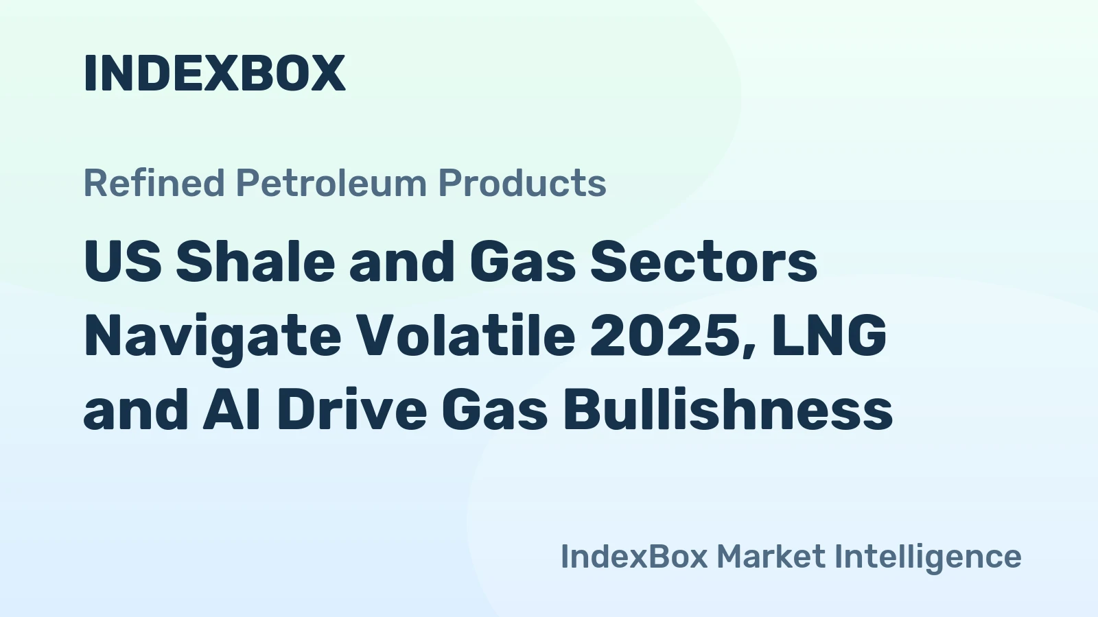 US Shale and Gas Sectors Navigate Volatile 2025, LNG and AI Drive Gas Bullishness