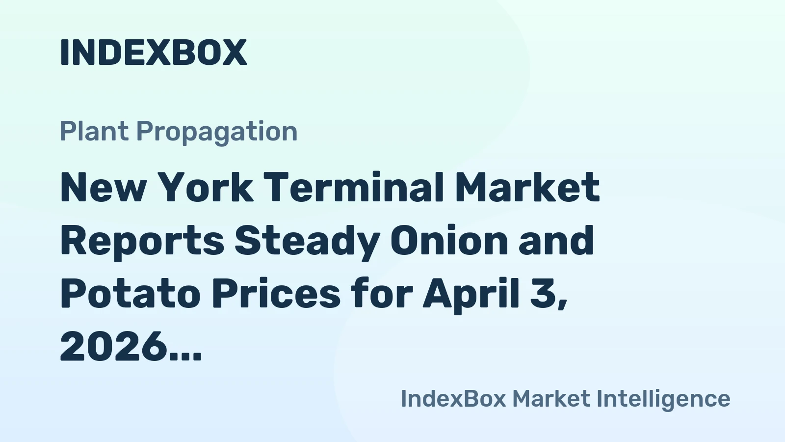 New York Terminal Market Reports Steady Onion and Potato Prices for April 3, 2026