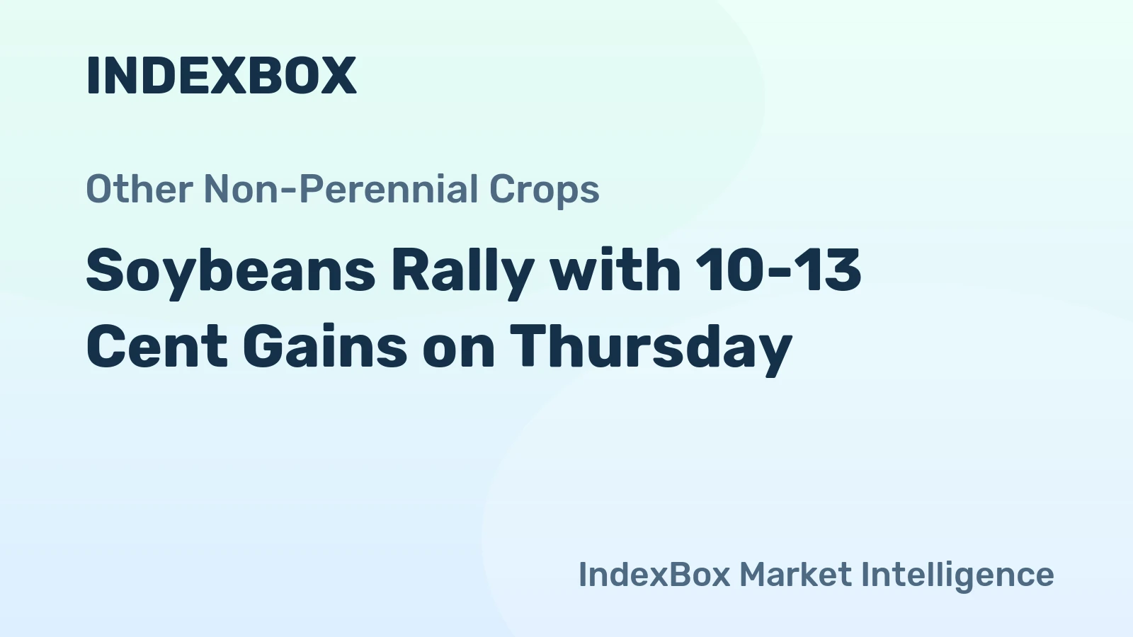Soybeans Rally with 10-13 Cent Gains on Thursday