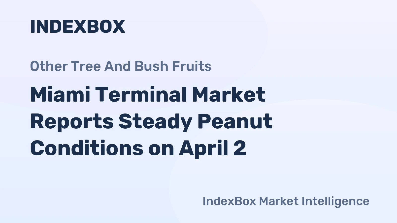 Miami Terminal Market Reports Steady Peanut Conditions on April 2