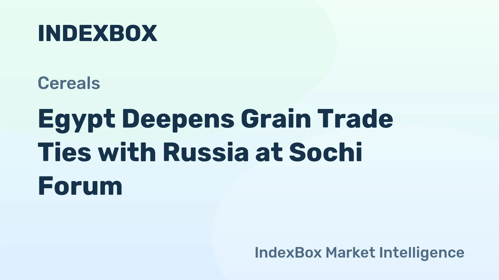 Egypt Deepens Grain Trade Ties with Russia at Sochi Forum