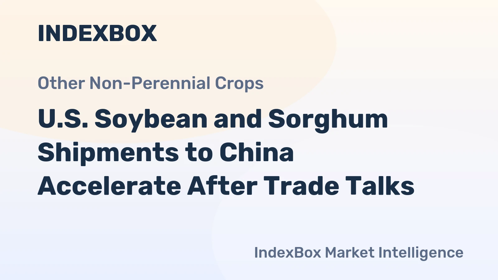 U.S. Soybean and Sorghum Shipments to China Accelerate After Trade Talks