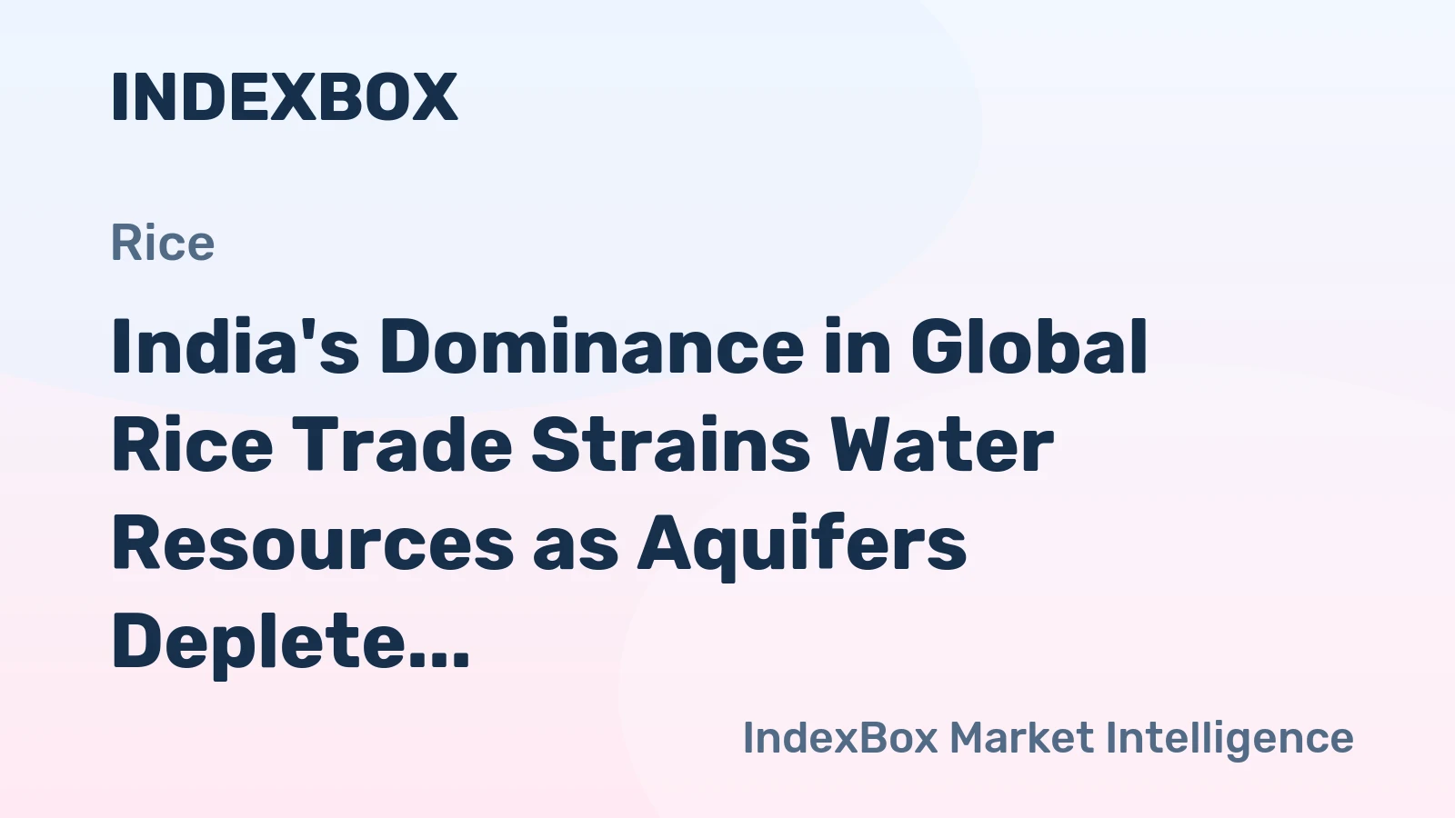 India's Dominance in Global Rice Trade Strains Water Resources as Aquifers Deplete