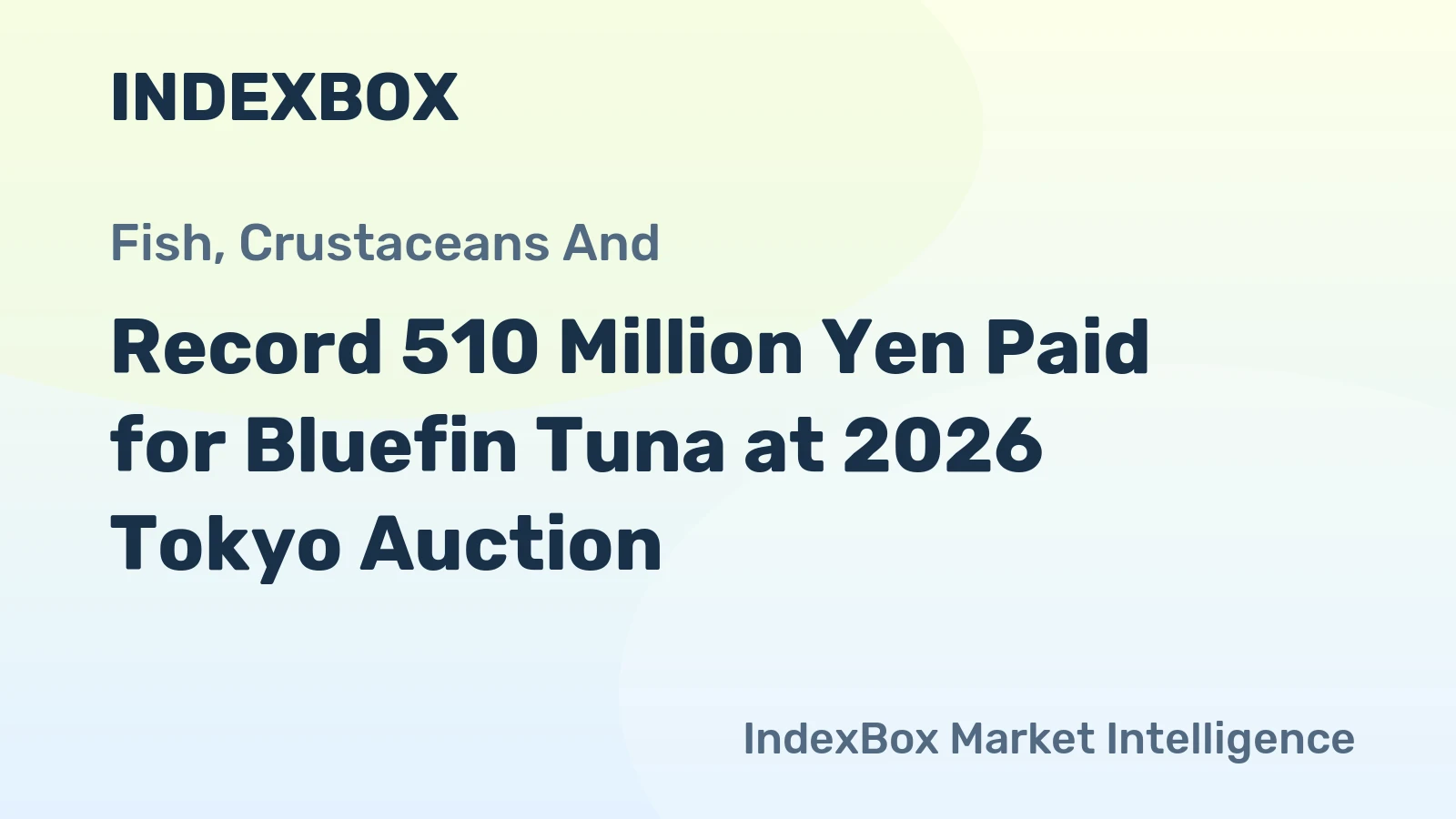 Record 510 Million Yen Paid for Bluefin Tuna at 2026 Tokyo Auction