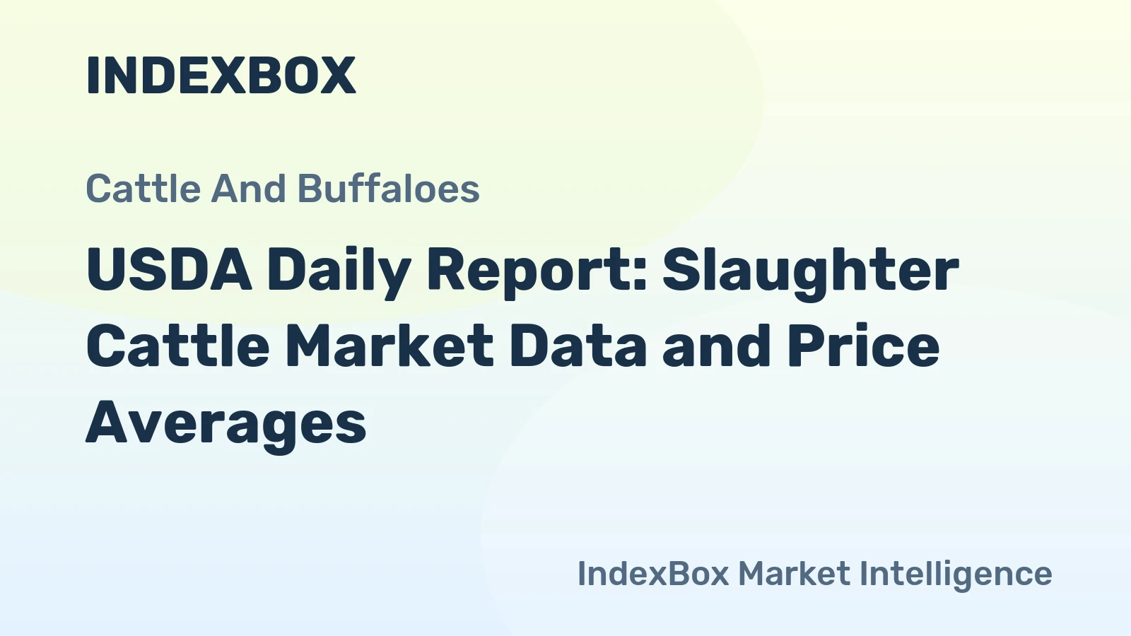 USDA Daily Report: Slaughter Cattle Market Data and Price Averages