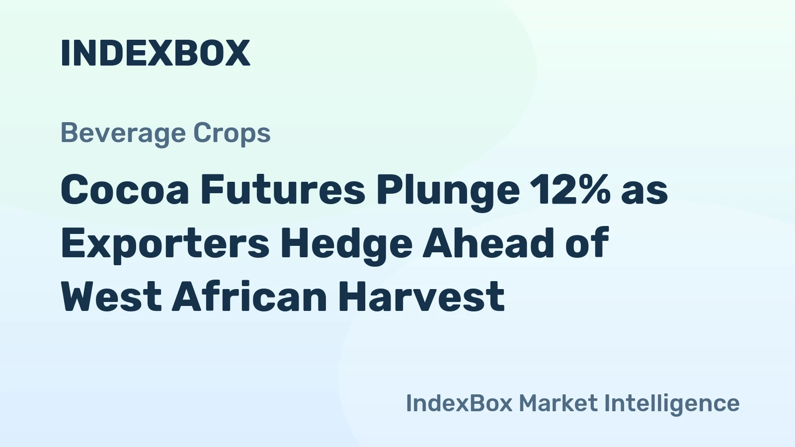 Cocoa Futures Plunge 12% as Exporters Hedge Ahead of West African Harvest