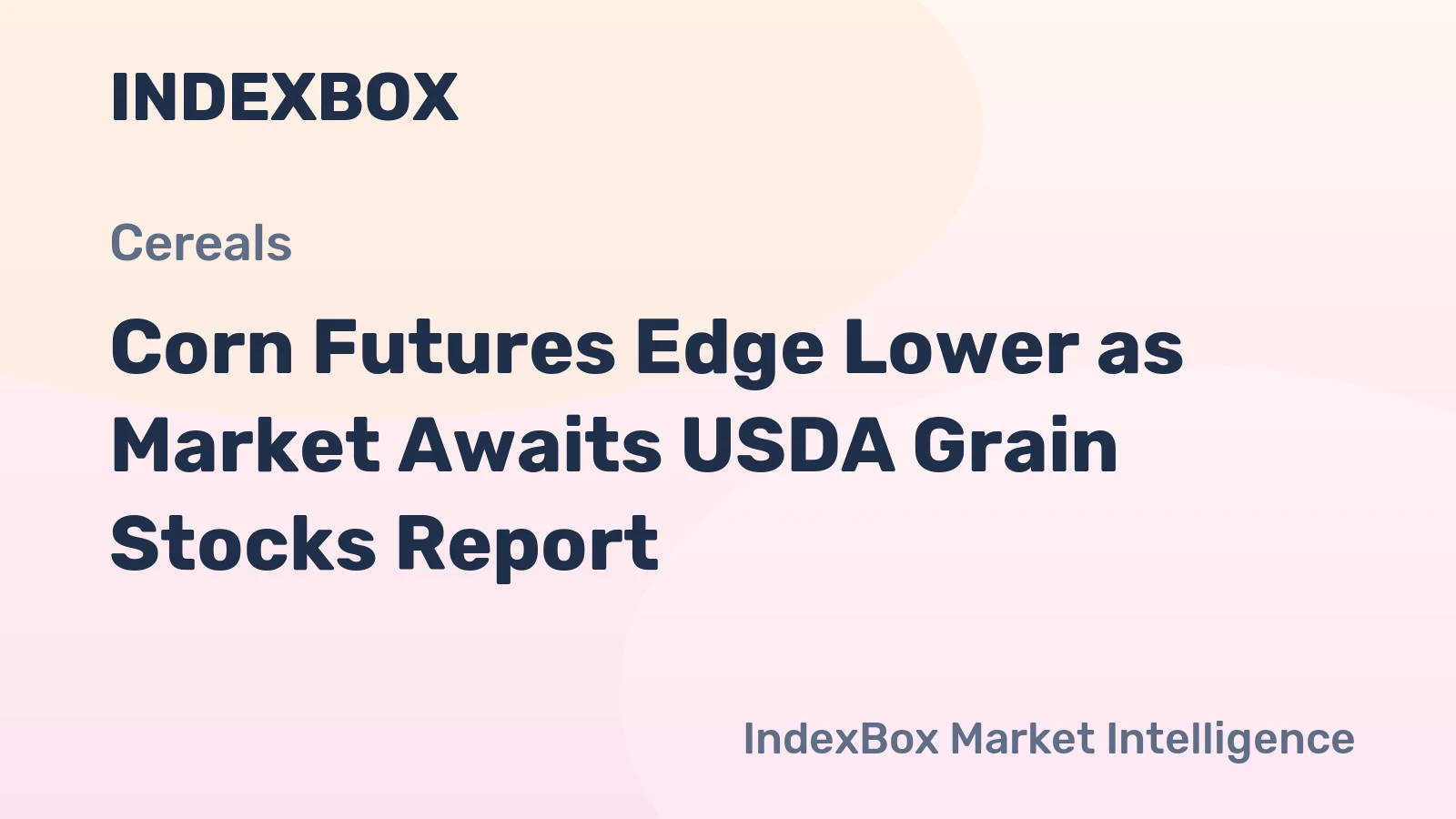 Corn Futures Edge Lower as Market Awaits USDA Grain Stocks Report