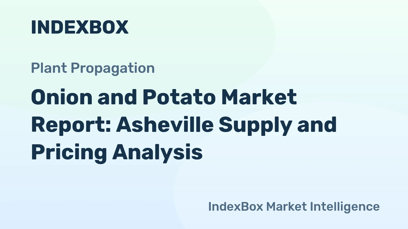 Onion and Potato Market Report: Asheville Supply and Pricing Analysis