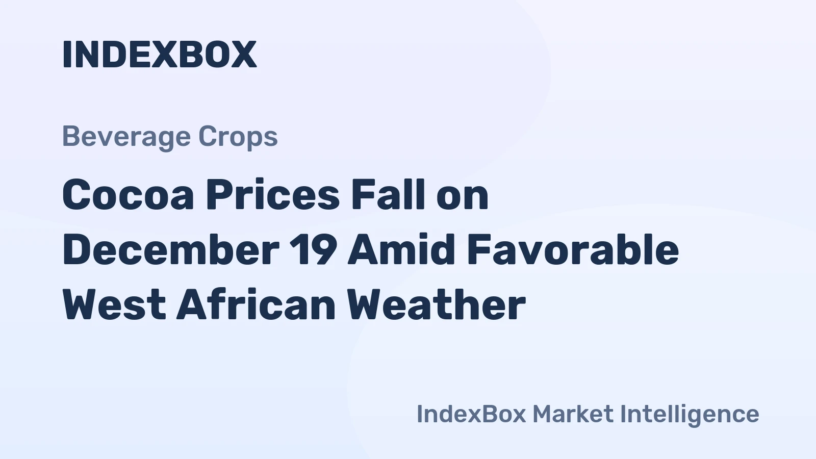 Cocoa Prices Fall on December 19 Amid Favorable West African Weather